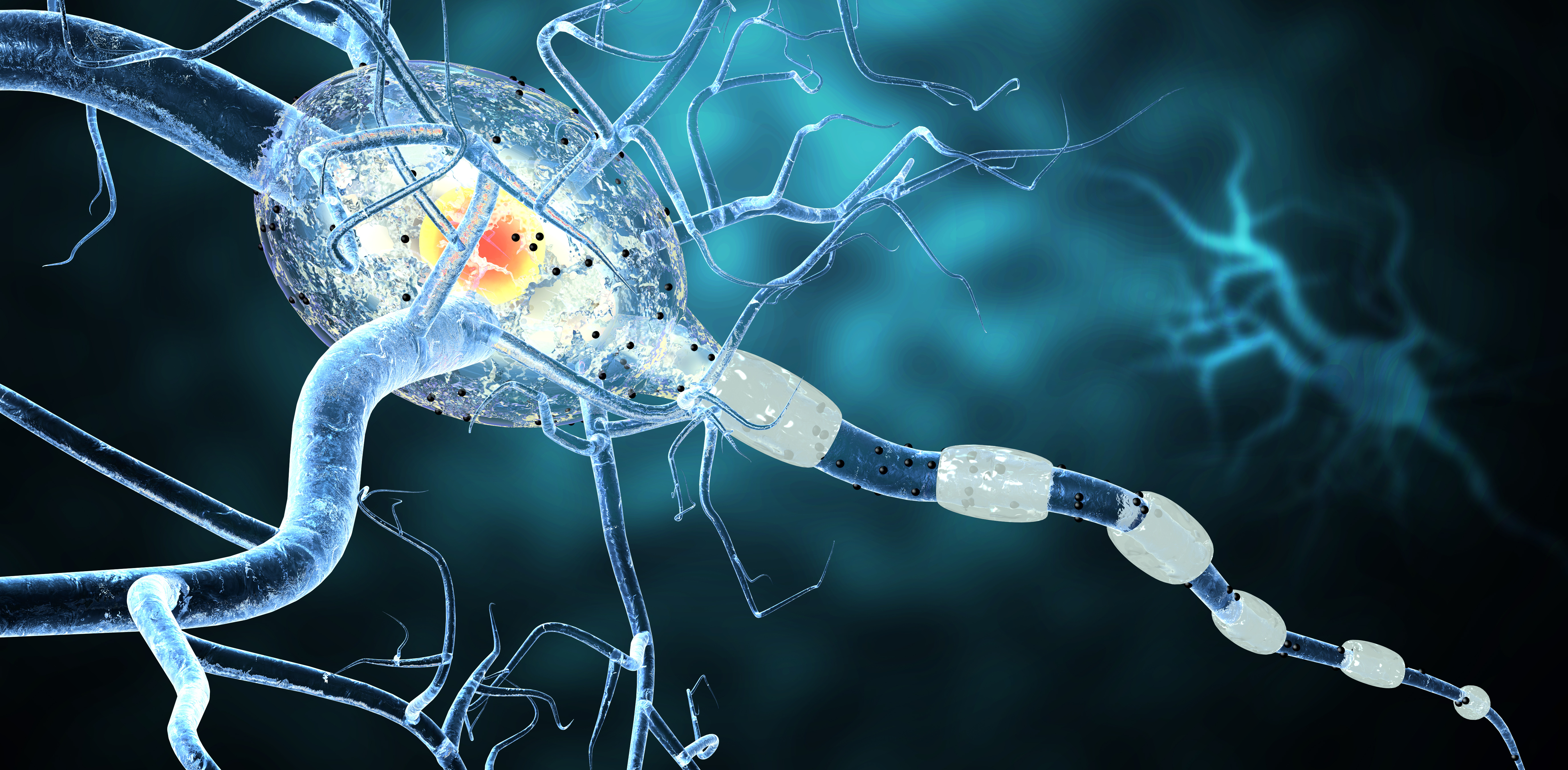 Patients With Multiple Sclerosis May Have an Increased Risk of Certain ...