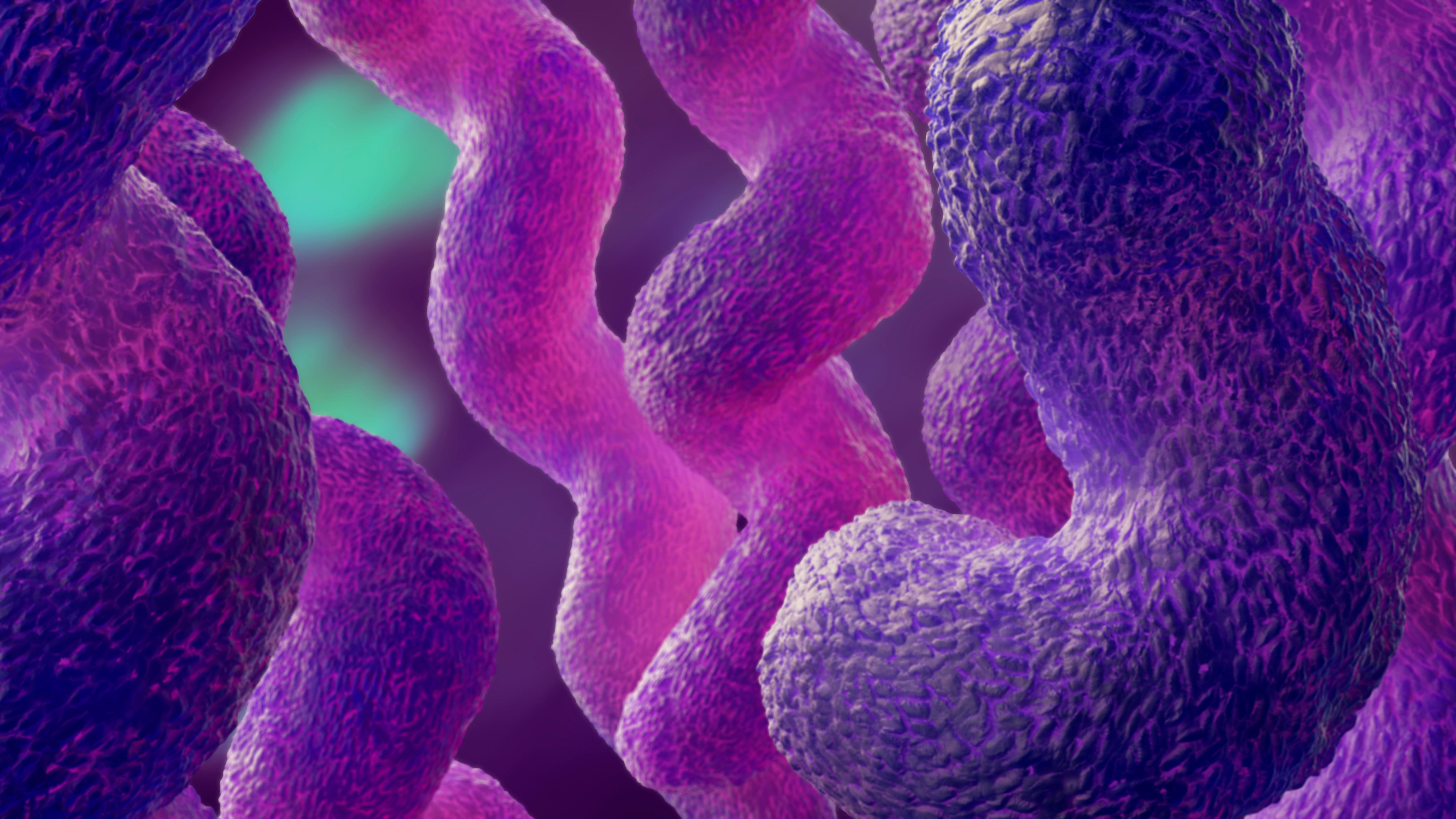 Common Bacterial Toxin May Speed Up Colorectal Cancer Metastasis - The ...