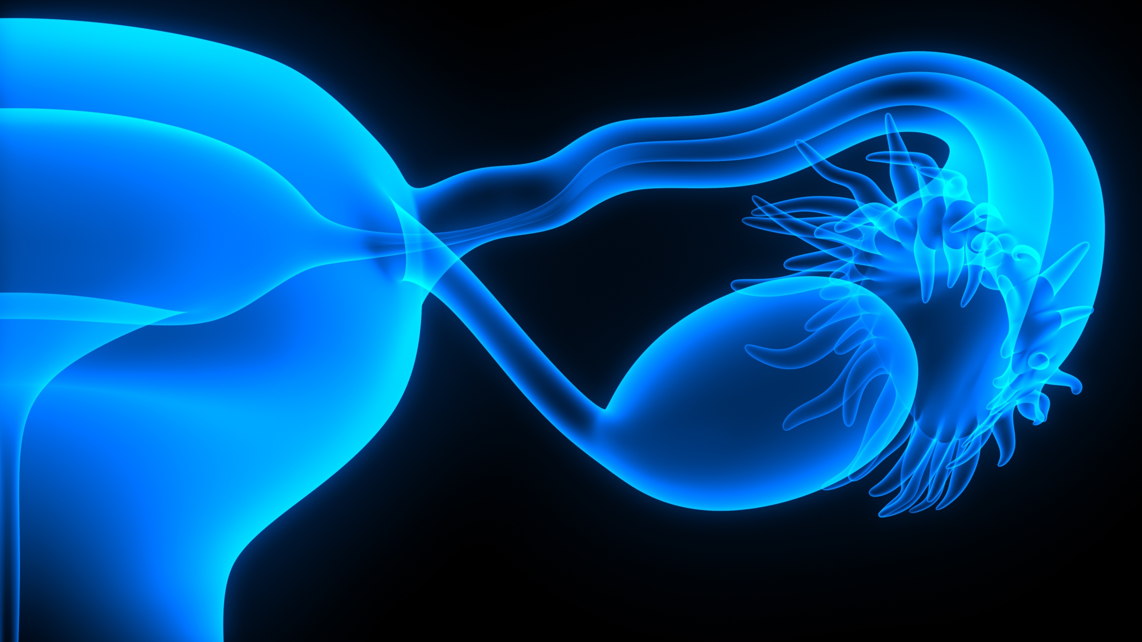 Salpingectomy During Other Abdominal Surgeries May Lower Ovarian Cancer ...