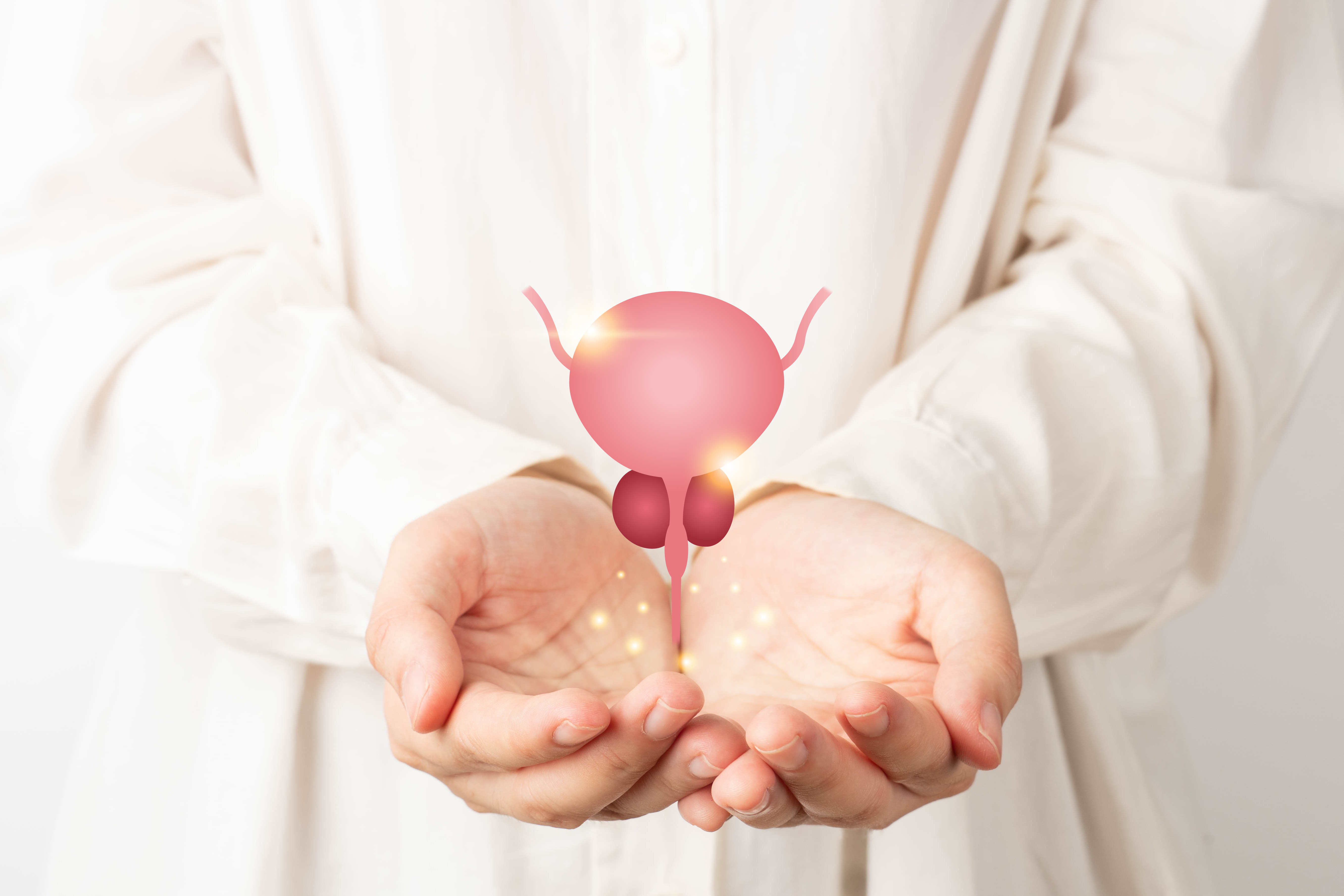 Novel Strategy Could Help Recover Erectile Function Following Prostate ...